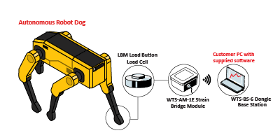 Autonomous Robot Dog - Interface