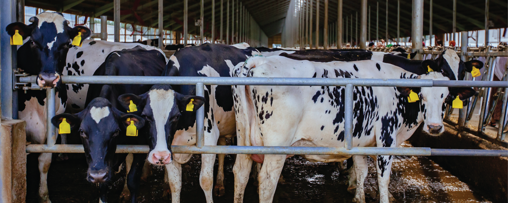 Interface Solutions Used in Growing Agriculture Innovation - Interface