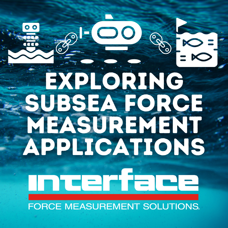 MARITIME Crane Block Safety Check App Note - Interface