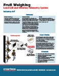 CPG Fruit Weighing App Note - Interface